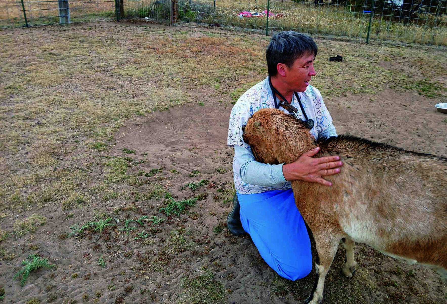 Prairie Life: One vet’s Niche - The New Falcon Herald